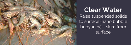 Water Solution for Agriculture, Aquaculture and Food Production